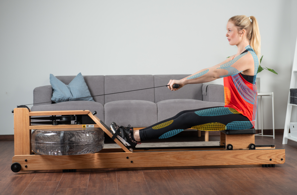 Roeitrainer: Welke spiergroepen train je - Fitshop Blog